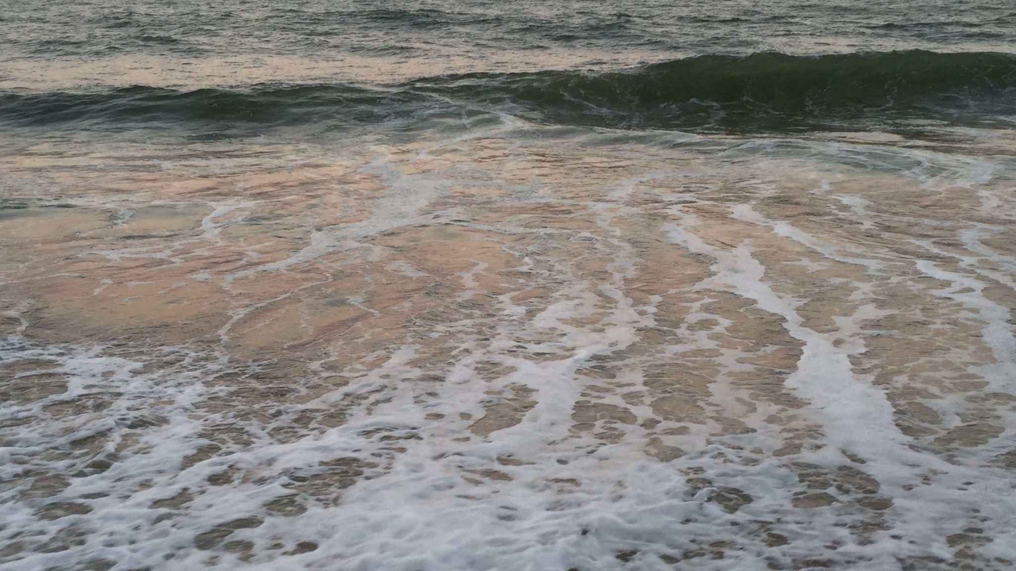 Radical Acceptance Revisited Tara Brach