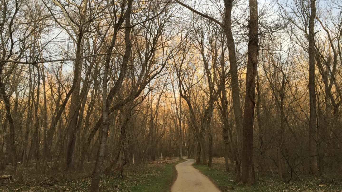 Reflection: RAIN - Entering the Wilderness (10:10 min) - Tara Brach