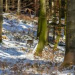 Part 1 of 3 - Freedom from Othering: Undoing the Myths that Imprison Us ...