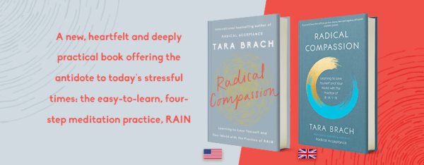 Part 3 – Radical Compassion – Loving Ourselves and Our World into ...