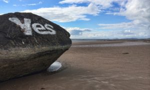 Meditation: The Blessings of Yes (20:12 min.) - Tara Brach