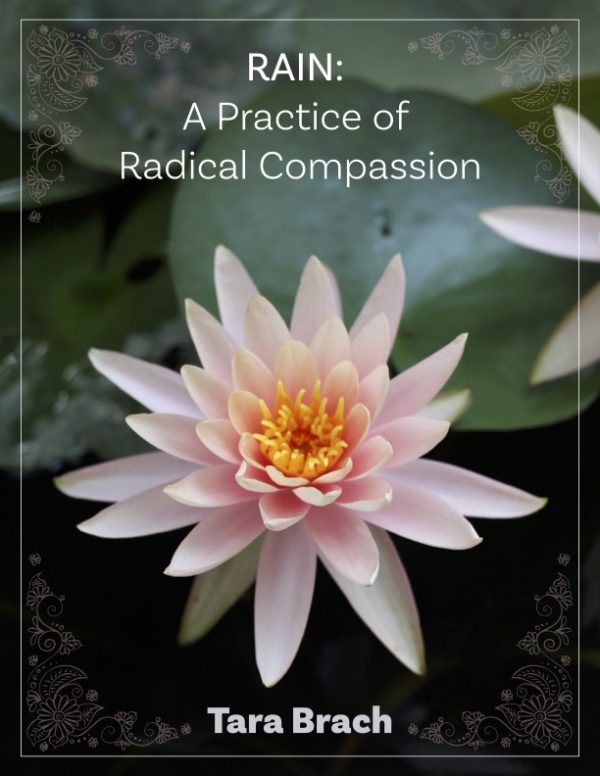 Blog - RAIN: A Practice of Radical Compassion - Tara Brach