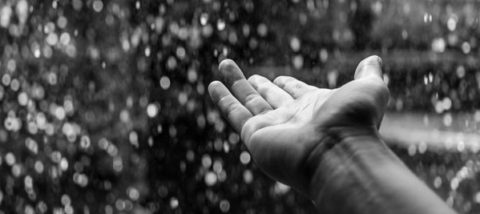 Resources ~ RAIN: Recognize, Allow, Investigate, Nurture - Tara Brach