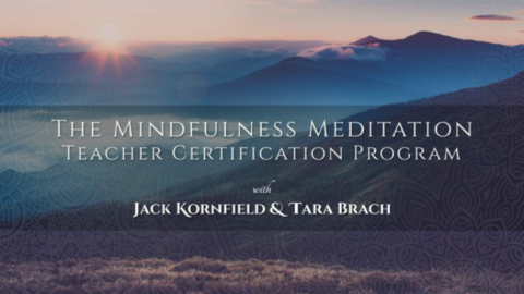 Tara Brach - Meditation, Psychologist, Author, Teacher