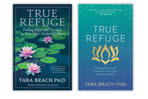 Books Tara Brach