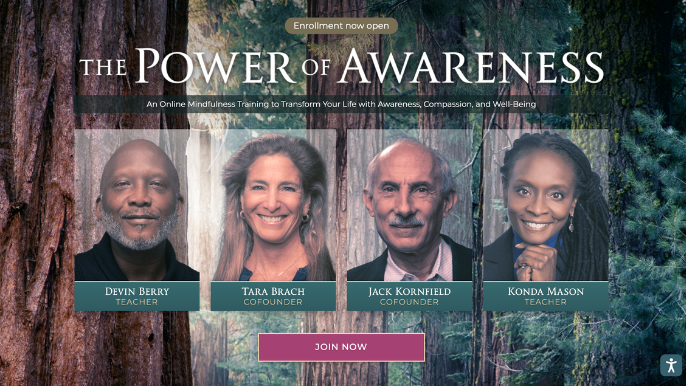 *NEW* The Power of Awareness | 7-Week Online Course - Tara Brach
