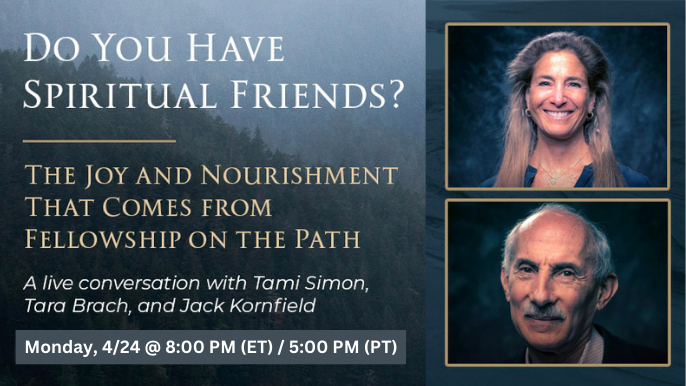 Do You Have Spiritual Friends? FREE Webinar with Tara Brach, Jack ...