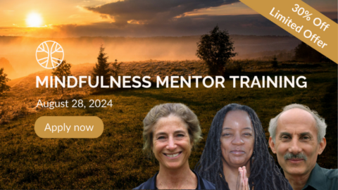 Tara Brach - Meditation, Psychologist, Author, Teacher