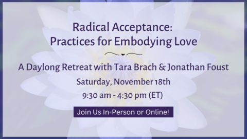 Radical Acceptance Practices For Embodying Love Daylong Retreat In