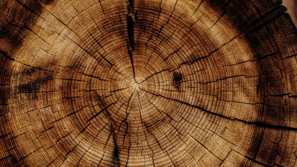 Meditation: Widening Rings of Being - Awakening the Senses (20:02 min ...