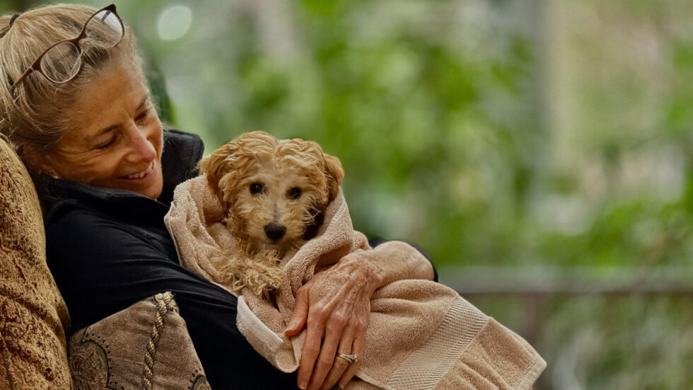 For the Love of Dogs…and All Beings - Tara Brach