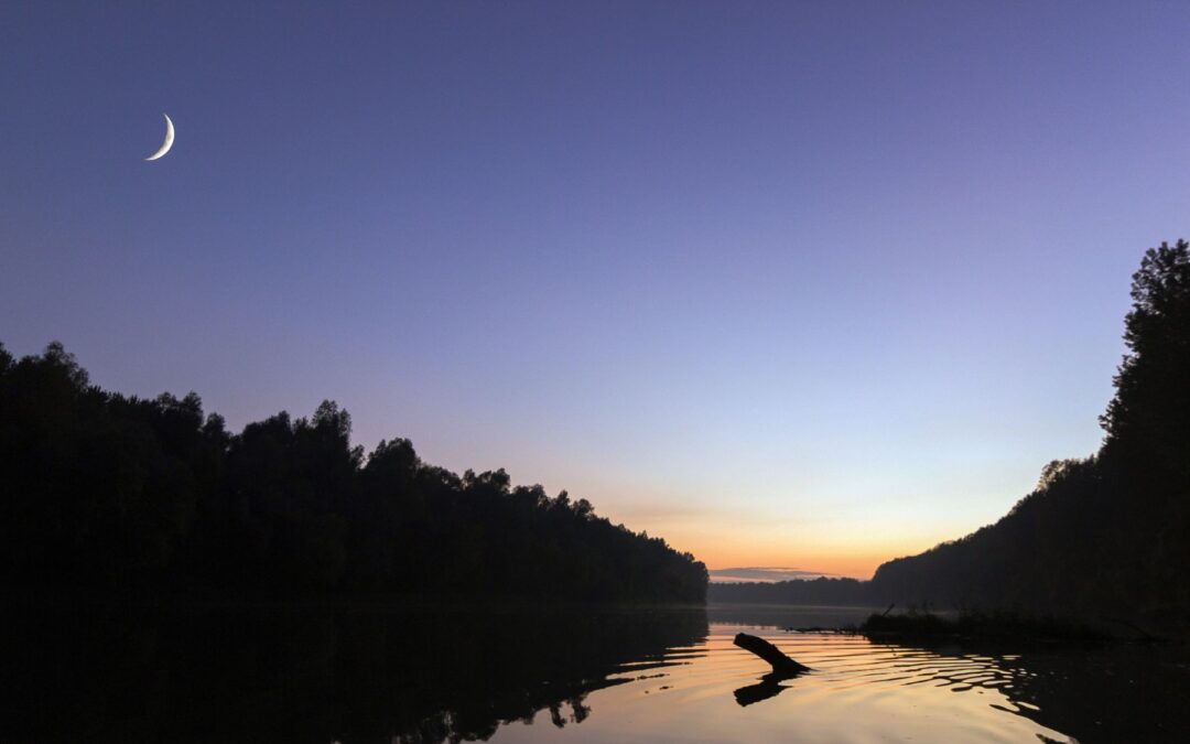 Open Awareness Meditations - Tara Brach