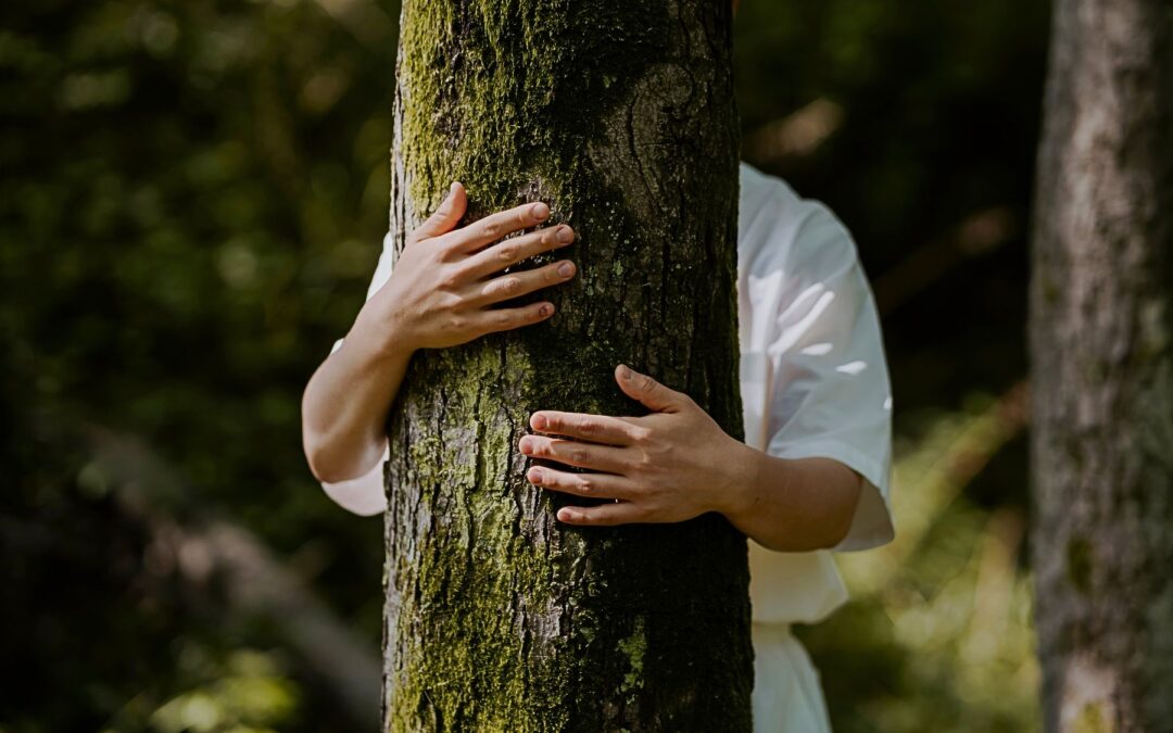 Talks: Audio & Video - Tara Brach